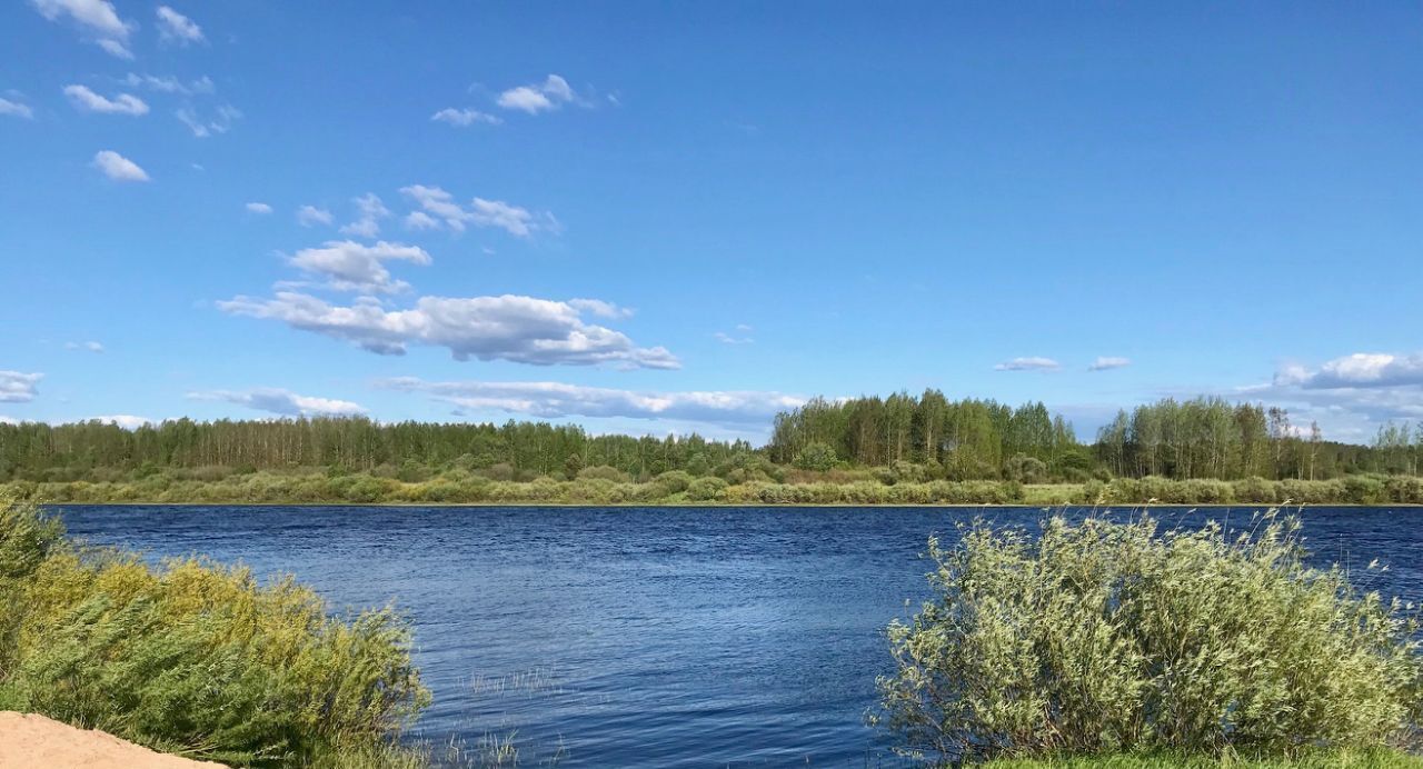 Продам землю Палкинская волость, д. Мольгино 77.0 сот 1300000 руб база ...